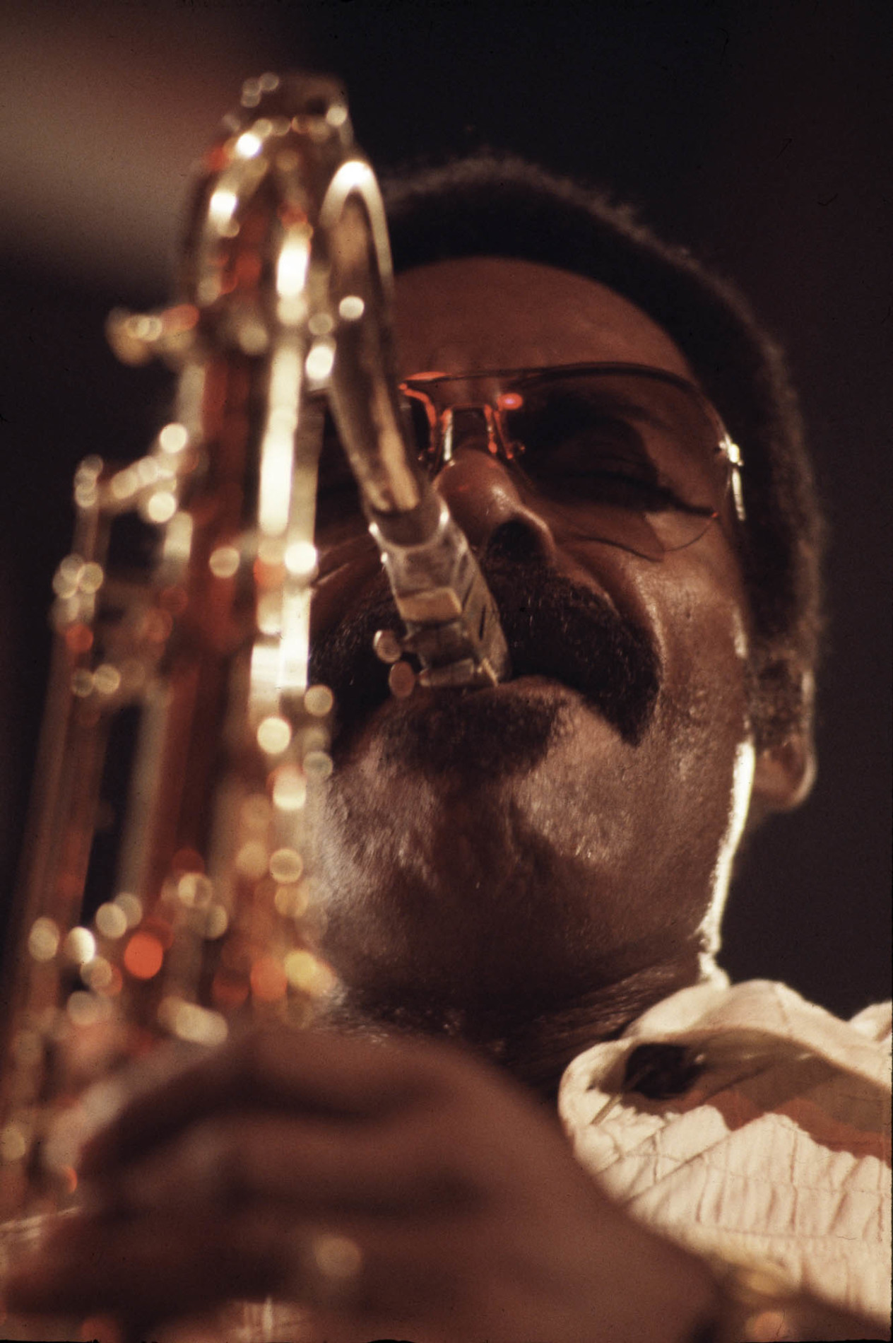 David Newman | Michael Putland Archive