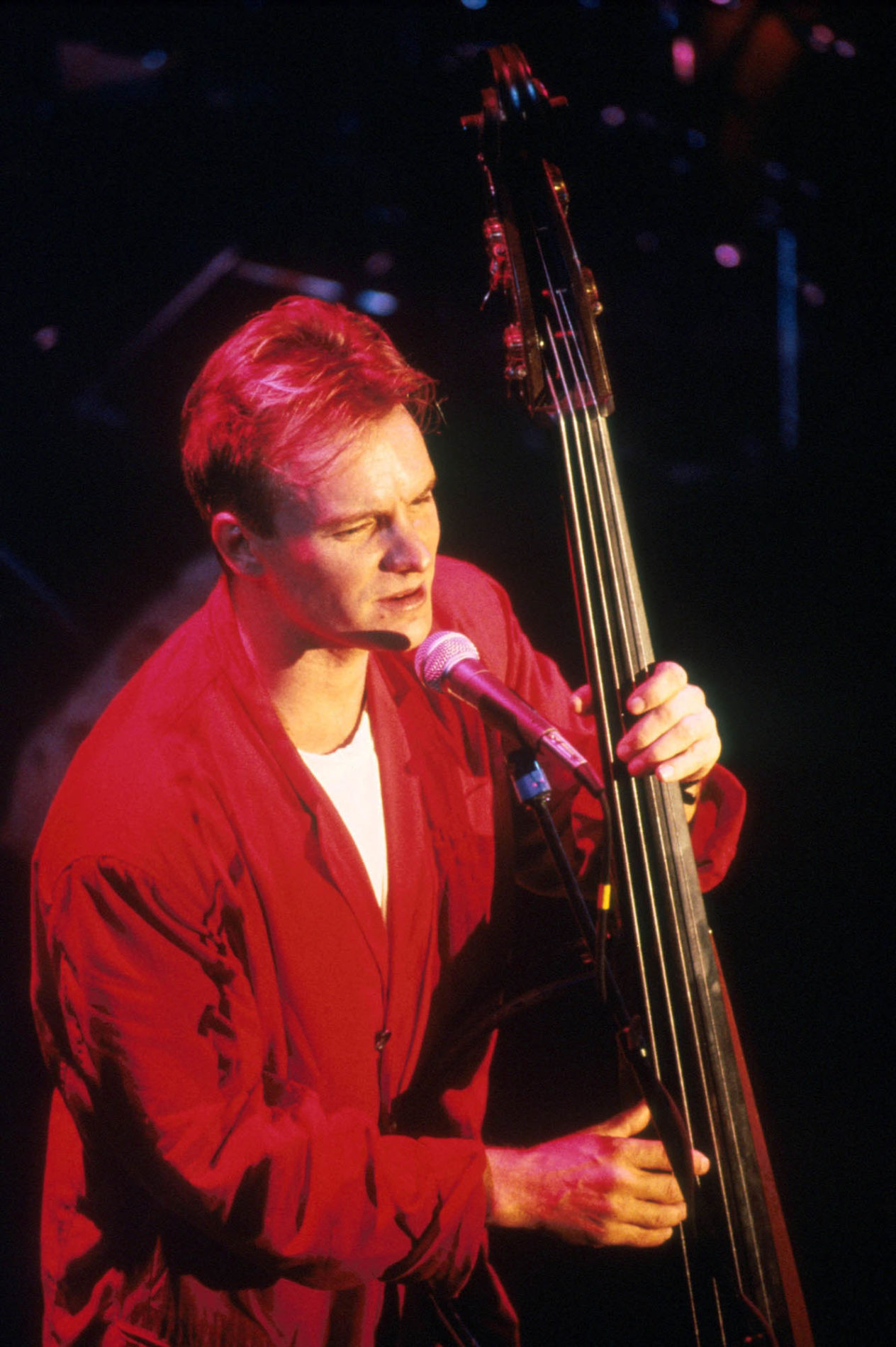 Sting | Michael Putland Archive